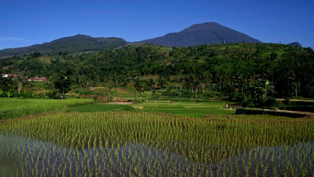 5 Destinasi Wisata Alam di Kuningan, Dijamin Bikin Tenangkan Pikiran ...